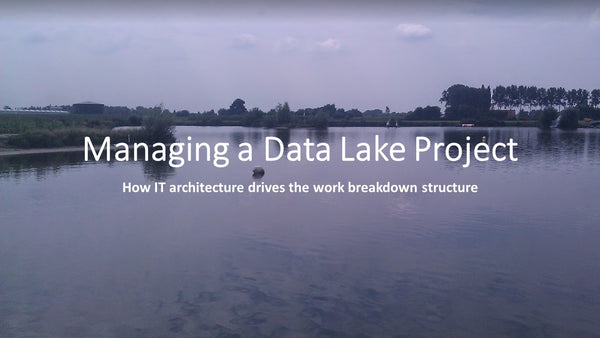 Managing a Data Lake Project – TrueProject Marketplace